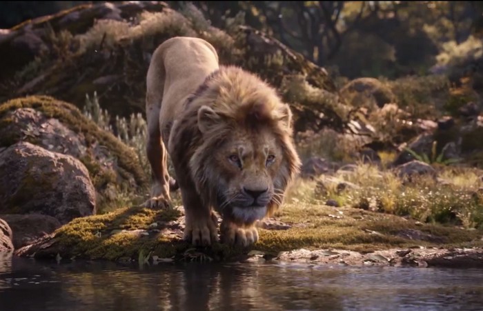 Simba precisa ocupar o seu lugar como Rei! | Blog Cineplus Emacite