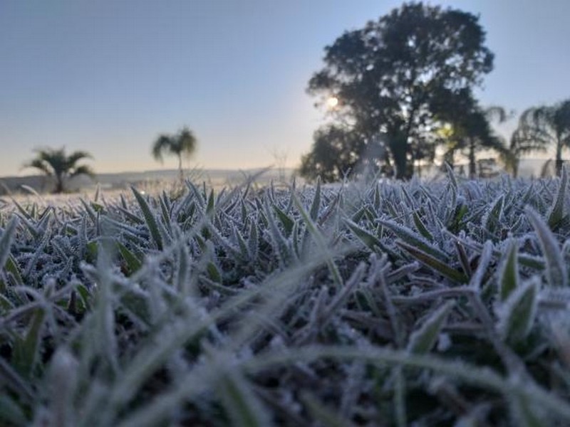 Região tem alerta de geada até o próximo dia 20 | Click Riomafra