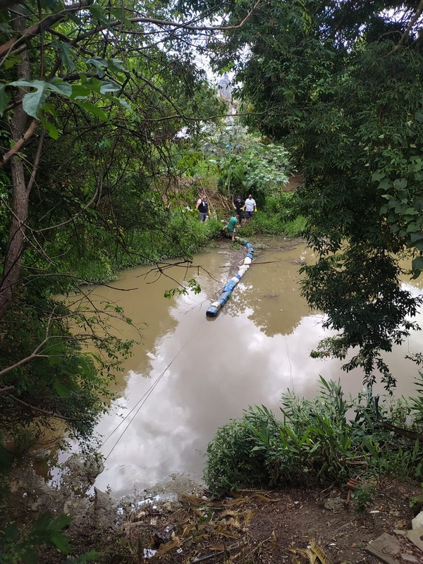 Conheça e colabore com o projeto Eco Barreira Rio Mafra | Click Riomafra