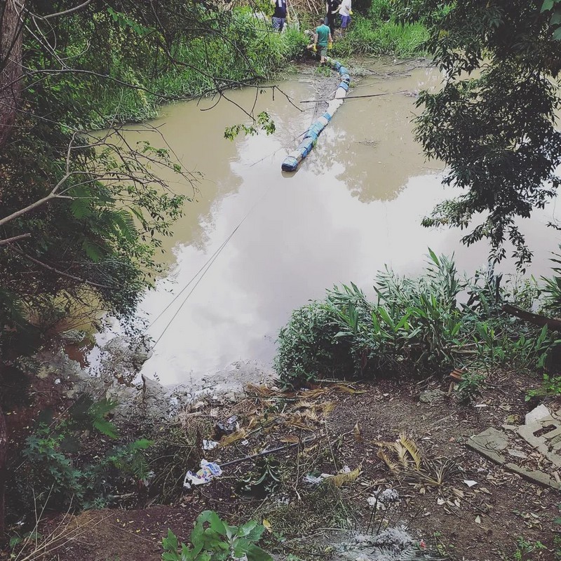 Conheça e colabore com o projeto Eco Barreira Rio Mafra | Click Riomafra