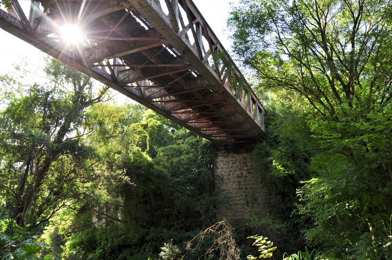 Previsão do tempo desta semana para Rio Negro e Mafra | Click Riomafra