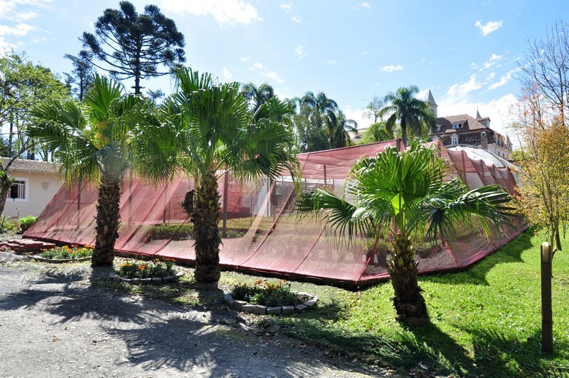 Conheça o grande viveiro florestal municipal de Rio Negro | Click Riomafra