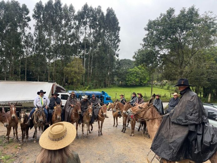 Mafra e Rio Negro recebem cavaleiros que refazem o Caminho dos ...